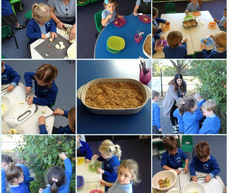 Tenterden Primary Federation - EYFS - Settling In
